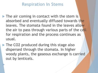 Breathing in plants | PPTX