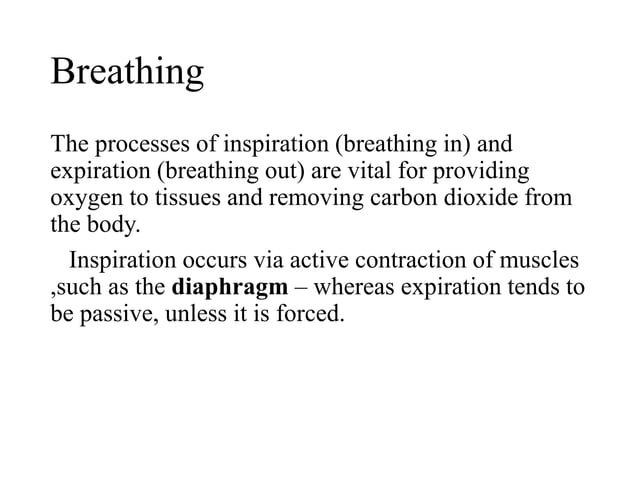 BREATHING MECHANISM IN RESPIRATORY PHYSIOLOGY | PPT