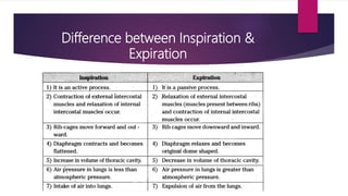 Class XI Breathing and Exchange of gases Breathing Mechanism | PPTX