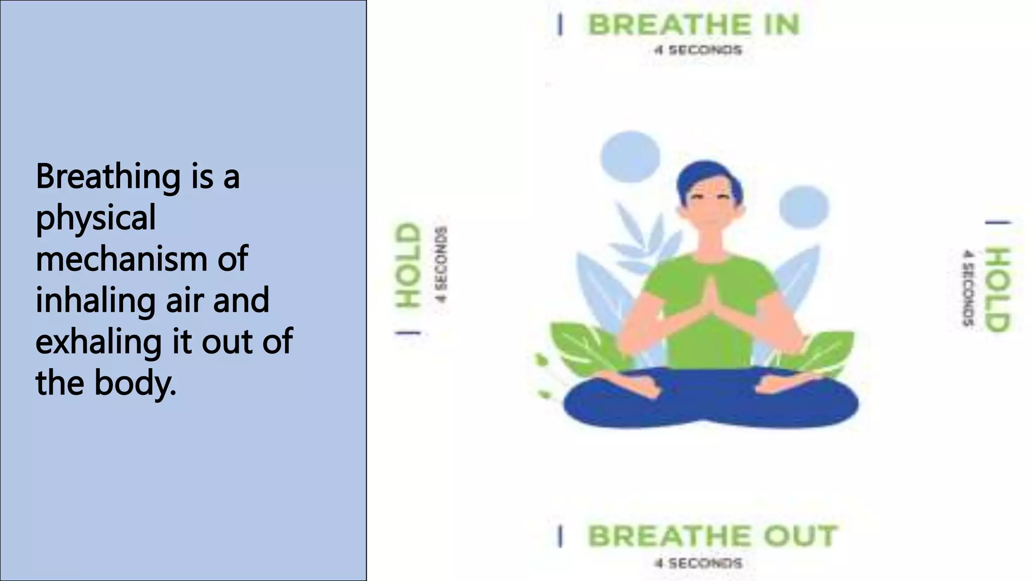Breathing Mechanism.pptx
