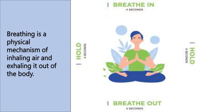 Breathing Mechanism.pptx