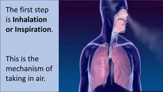 Breathing Mechanism.pptx
