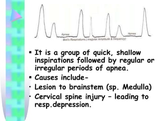 breathingpatterns-140901234814-phpapp02.pptx | Lung and Respiratory ...