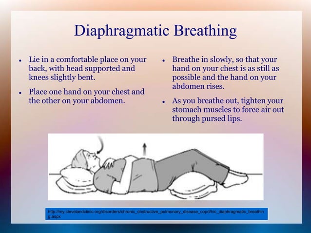 Breathing presentation ms | PPT