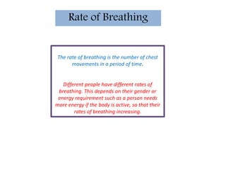 Breathing process | PPT
