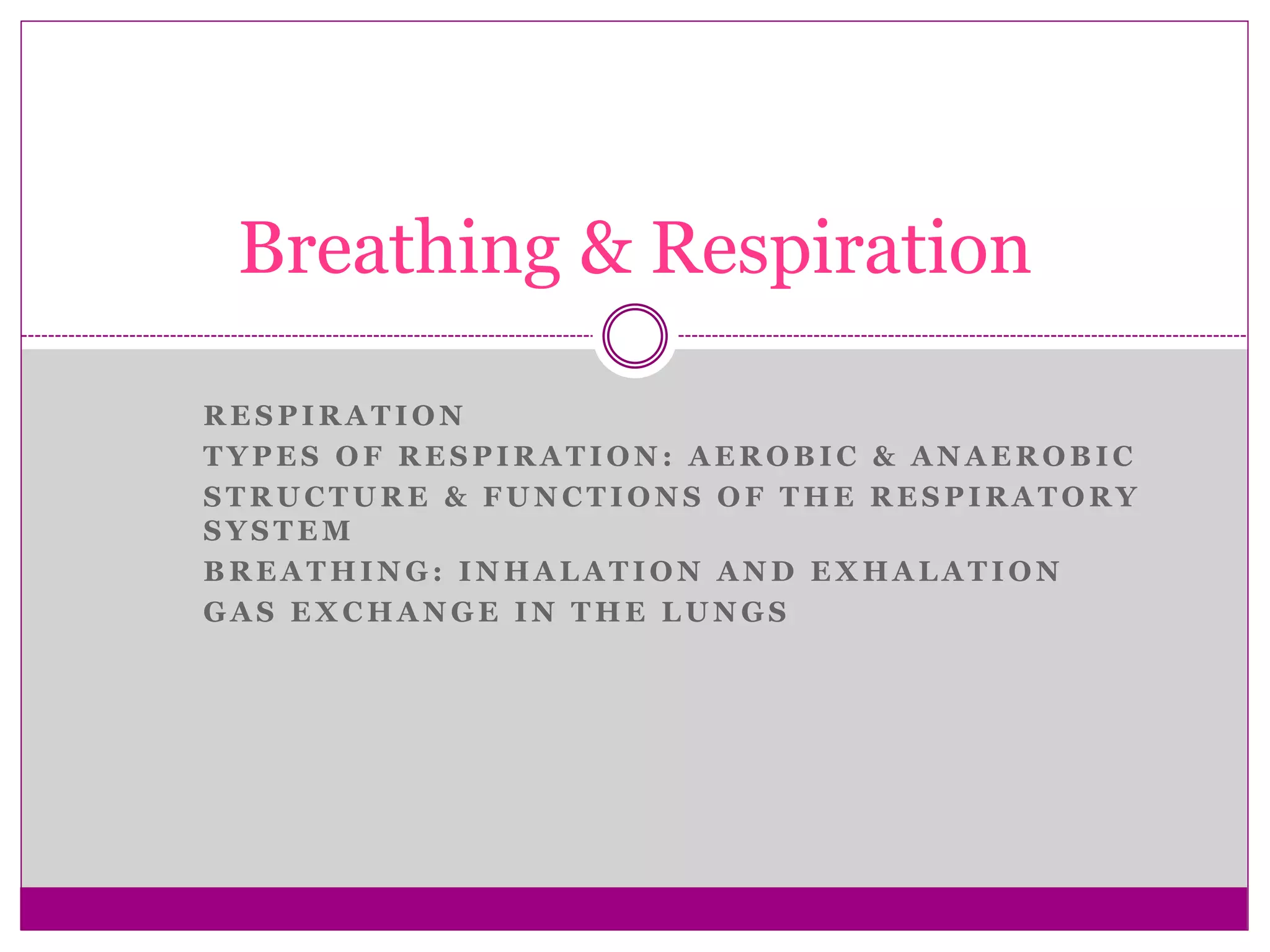 Breathing & Respiration | PPTX