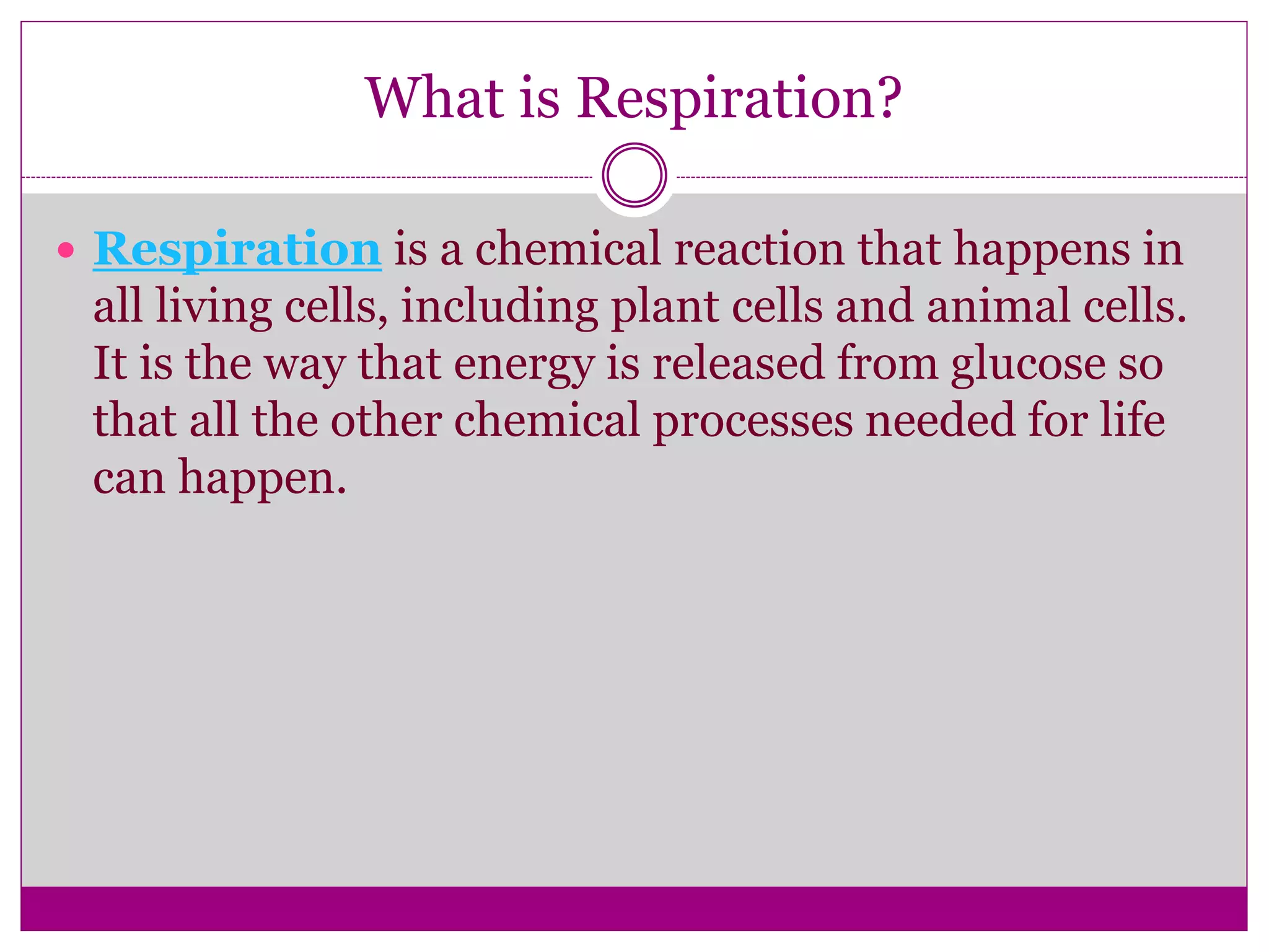 Breathing & Respiration | PPTX