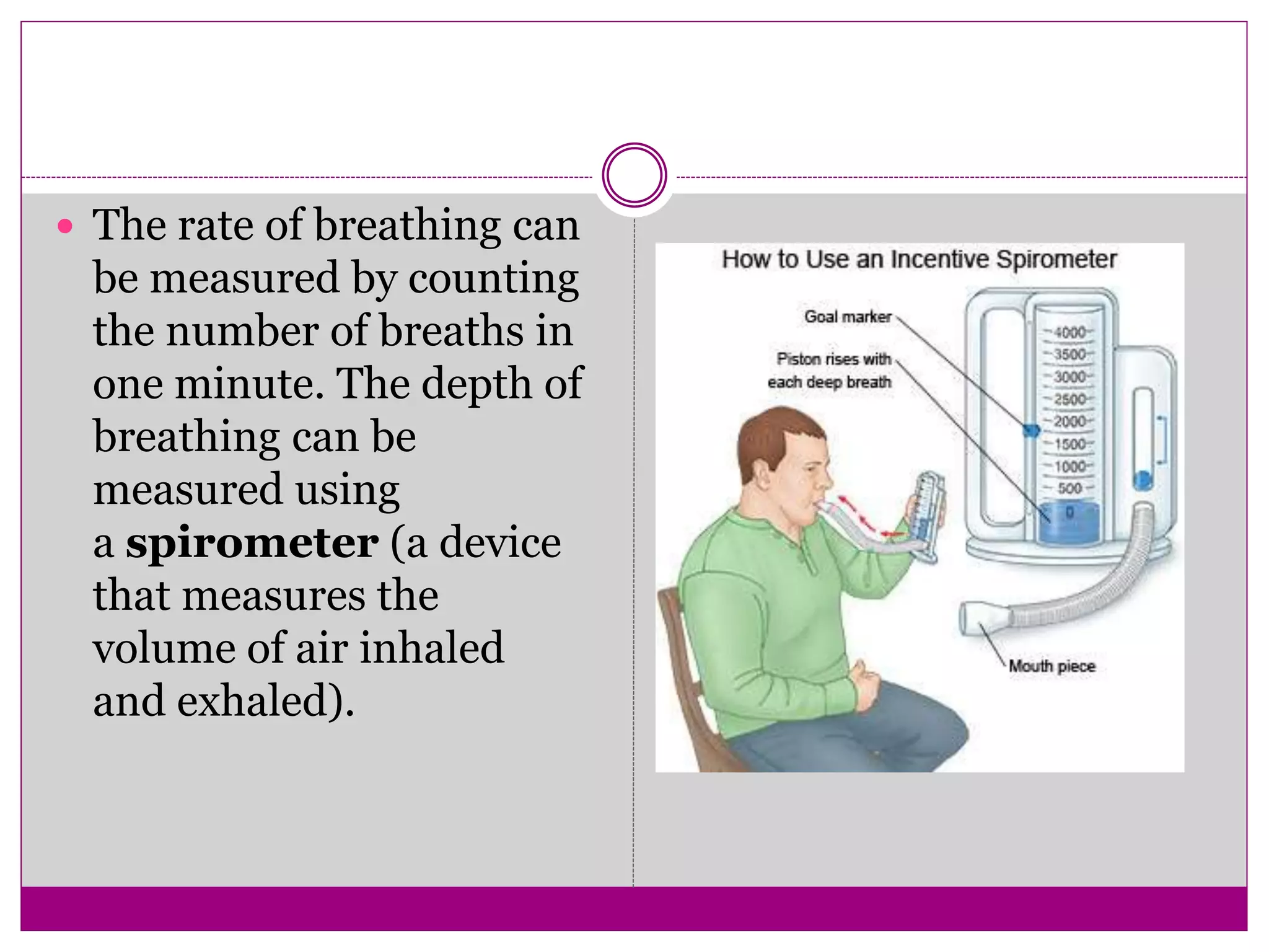 Breathing & Respiration | PPTX