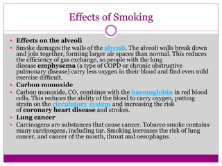 Breathing & Respiration | PPTX