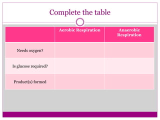 Breathing & Respiration | PPTX