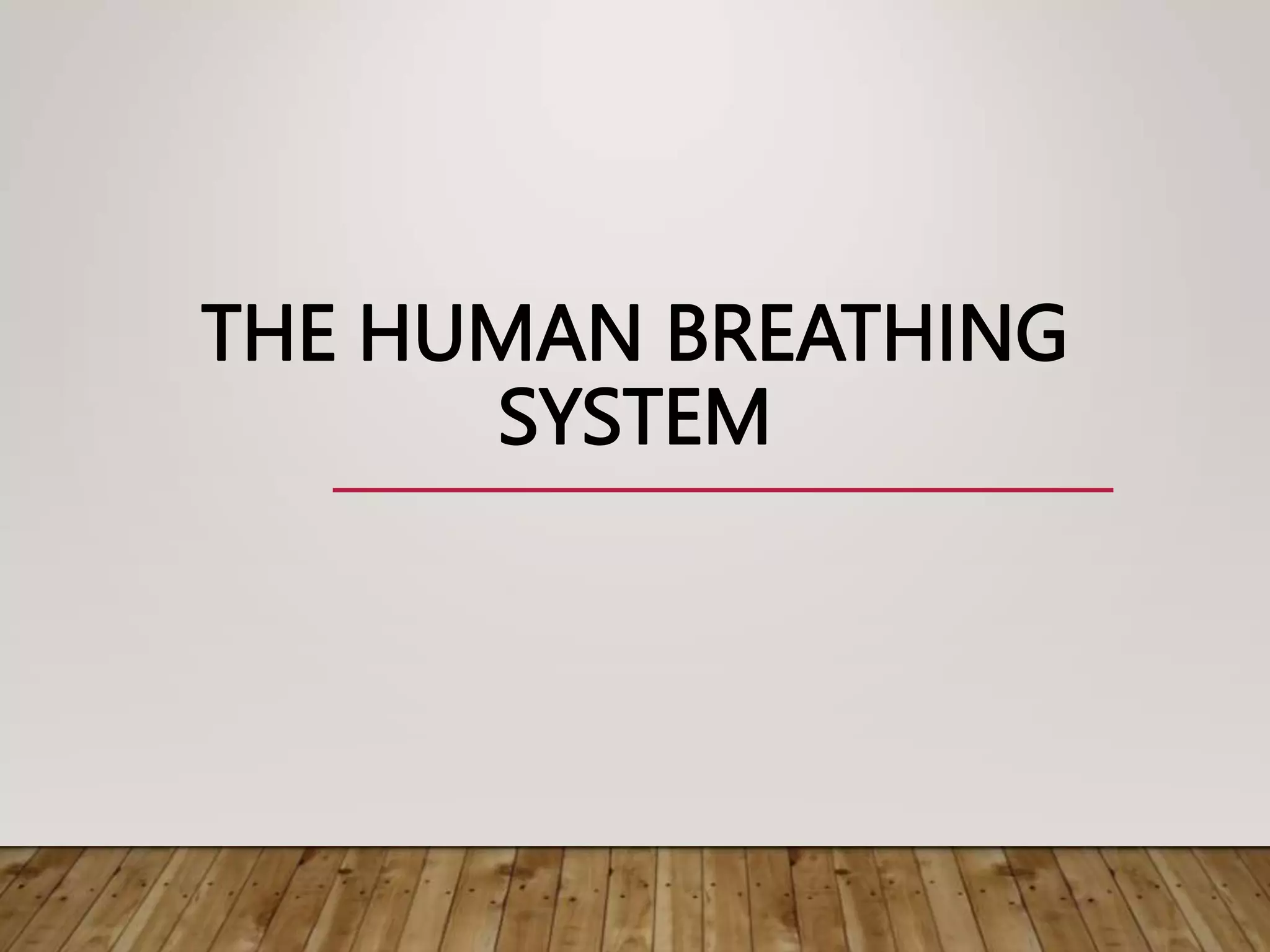 Breathing System.ppt
