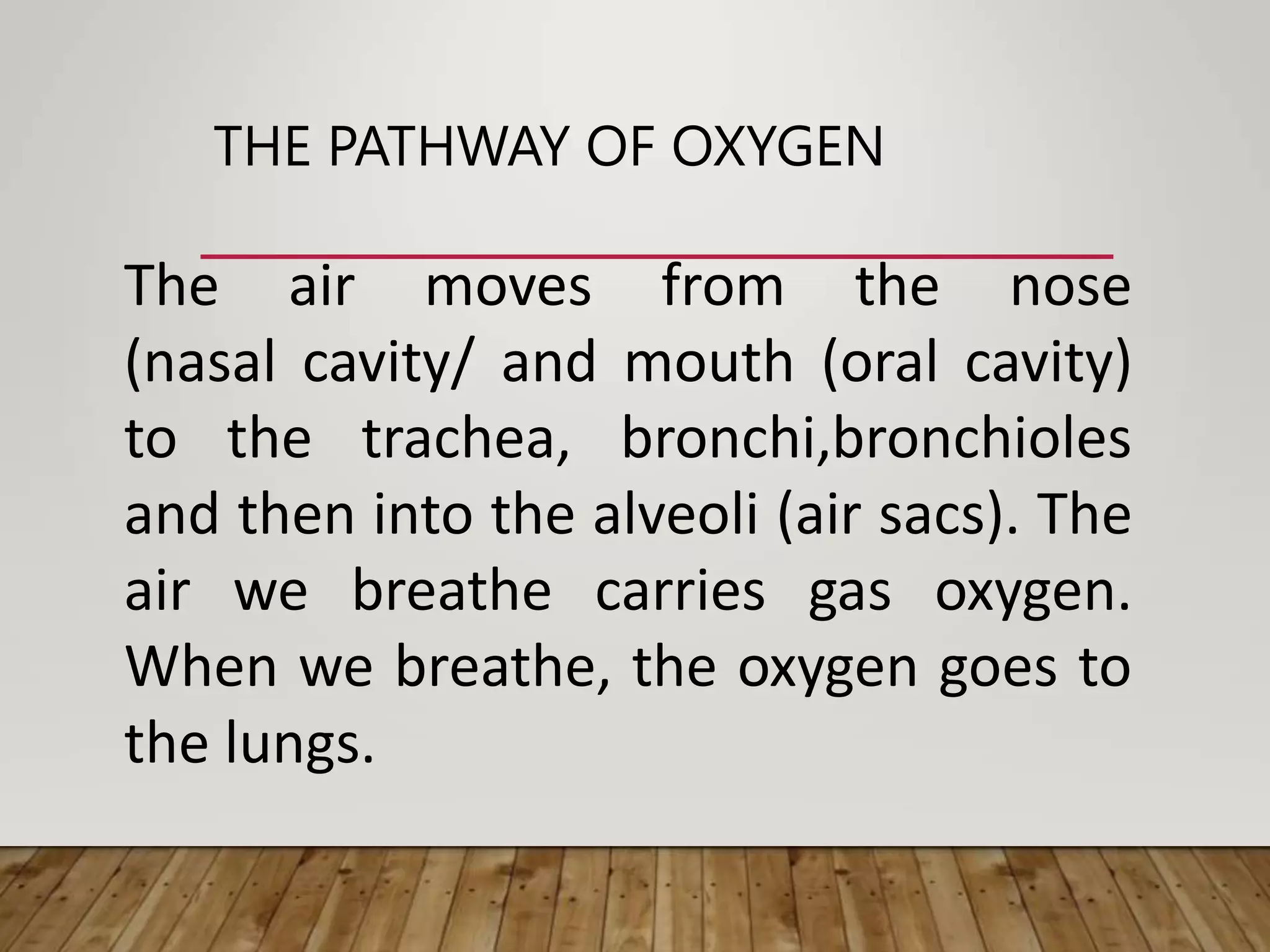 Breathing System.ppt