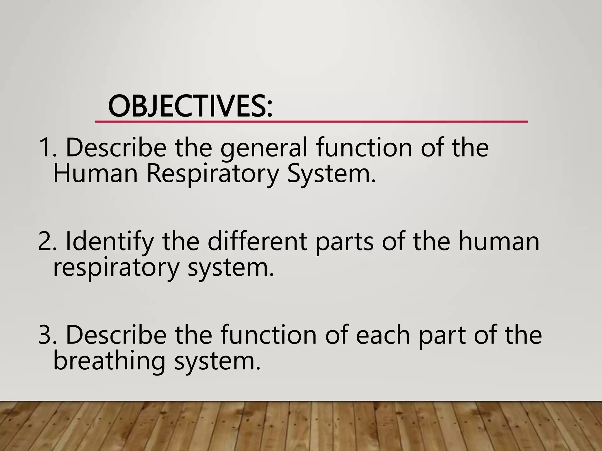 Breathing System.ppt