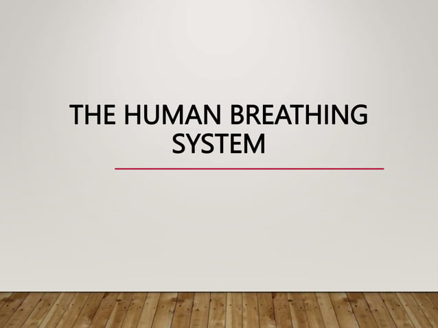 Breathing System.ppt | Lung and Respiratory Health | Diseases and ...