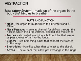 Breathing System.ppt