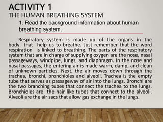 Breathing System.ppt