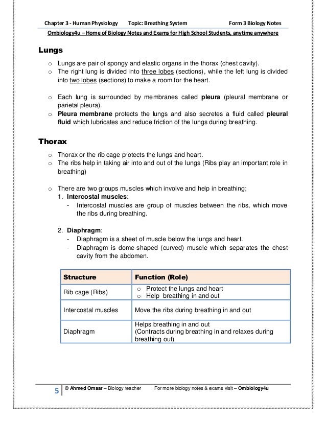 Breathing System Form 3 Biology Best Notes by Ahmed Omaar | PDF