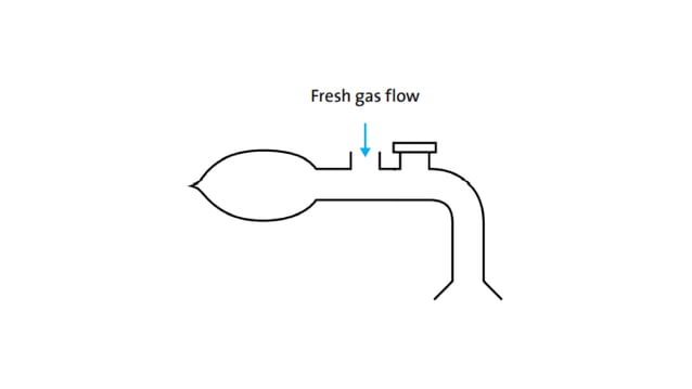Breathing systems - Mapleson Classification | PDF