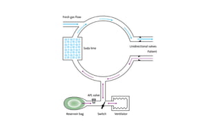 Breathing systems - Mapleson Classification | PDF