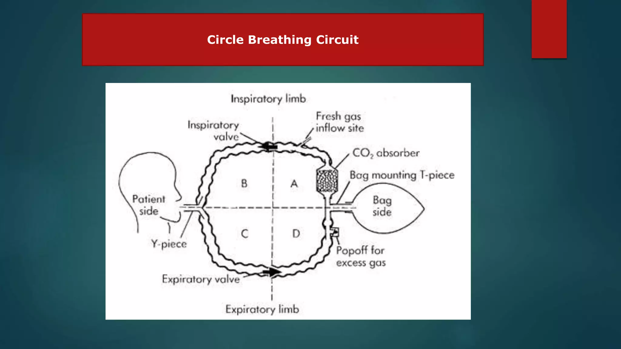 breathin system anesthesia.pptx
