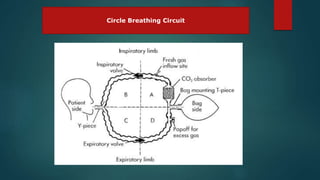 breathin system anesthesia.pptx