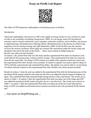 Breathtaking College App Essay Examples Thatsn | PDF
