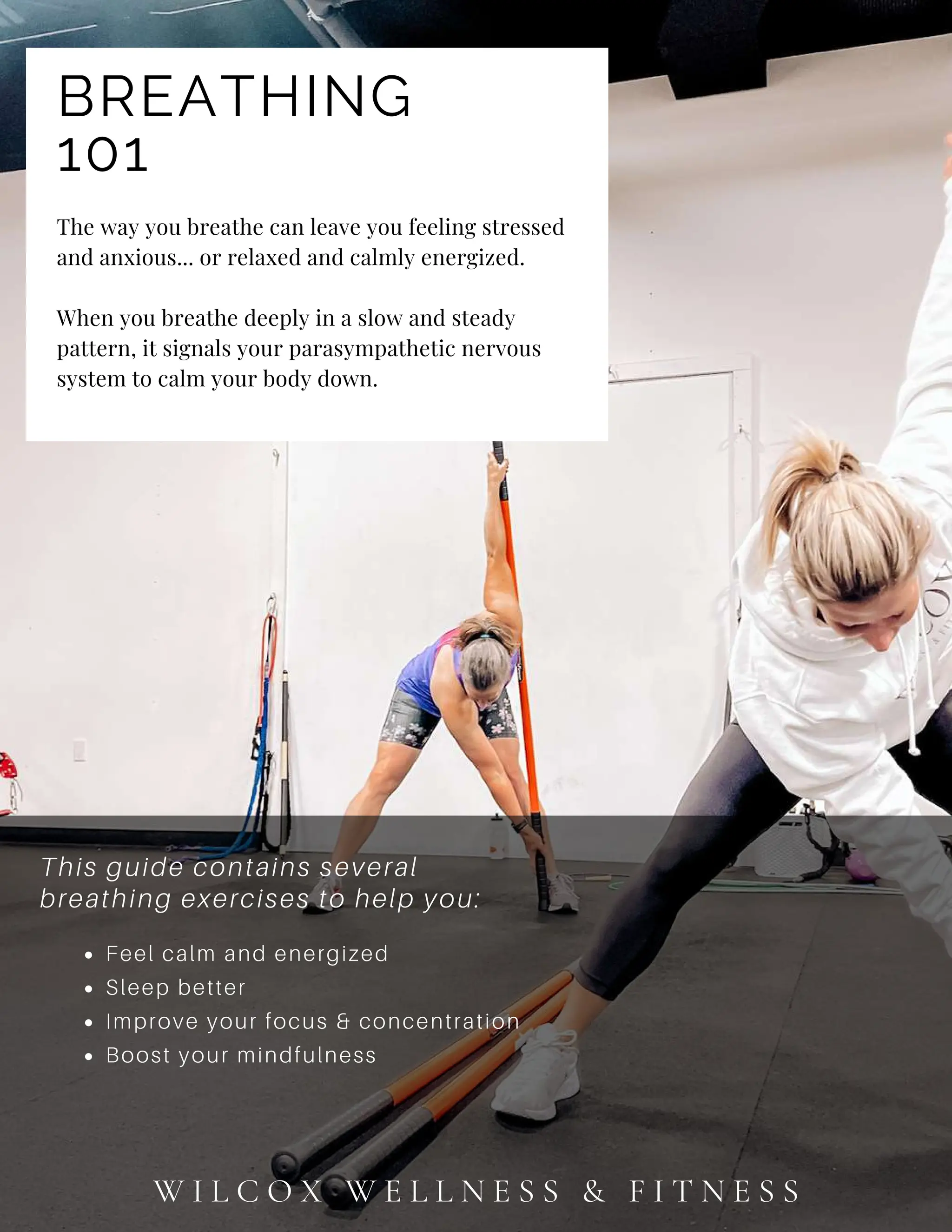 Breathwork & Mindful Breathing | PDF