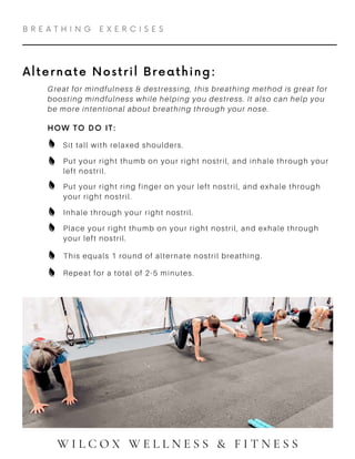 Breathwork & Mindful Breathing | PDF