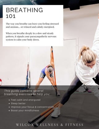 Breathwork & Mindful Breathing | PDF
