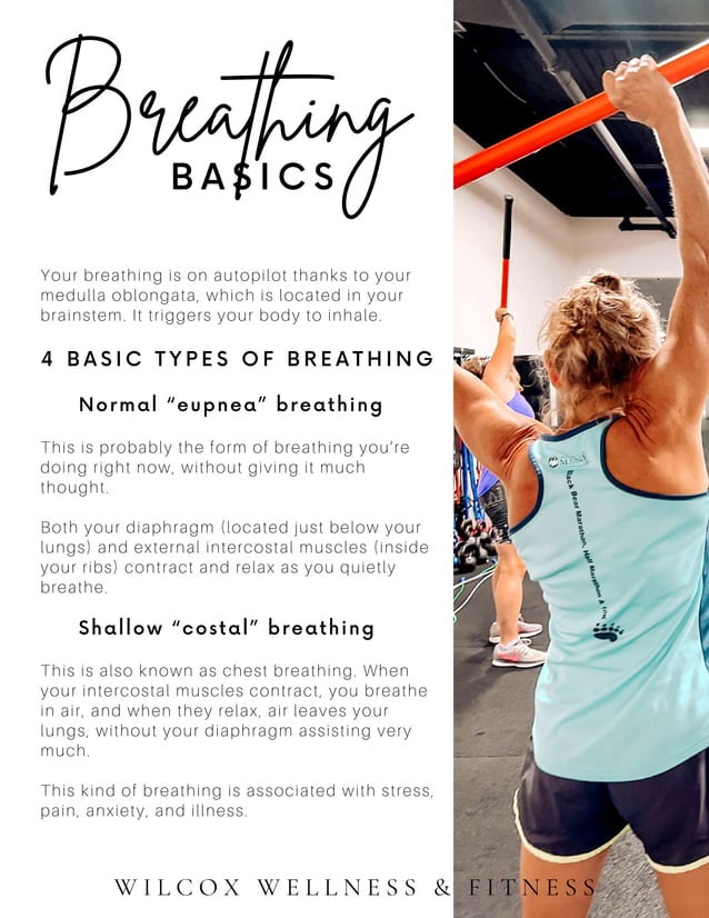 Breathwork & Mindful Breathing | PDF