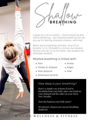 Breathwork & Mindful Breathing | PDF