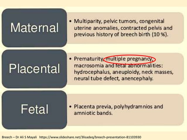 Breech Delivery | PPTX | Pregnancy | Reproductive Health