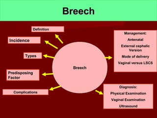 Breech | PPT