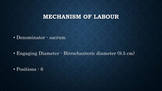 Breech presentation | PPTX