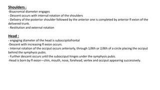 Breech presentation | PPTX | Pregnancy | Reproductive Health