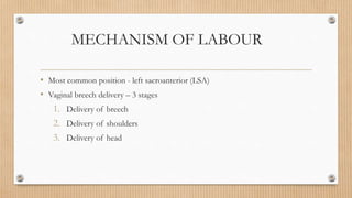 BREECH PRESENTATION obstetrics and gynacology mbbs final year | PPTX