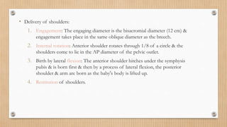 BREECH PRESENTATION obstetrics and gynacology mbbs final year | PPTX