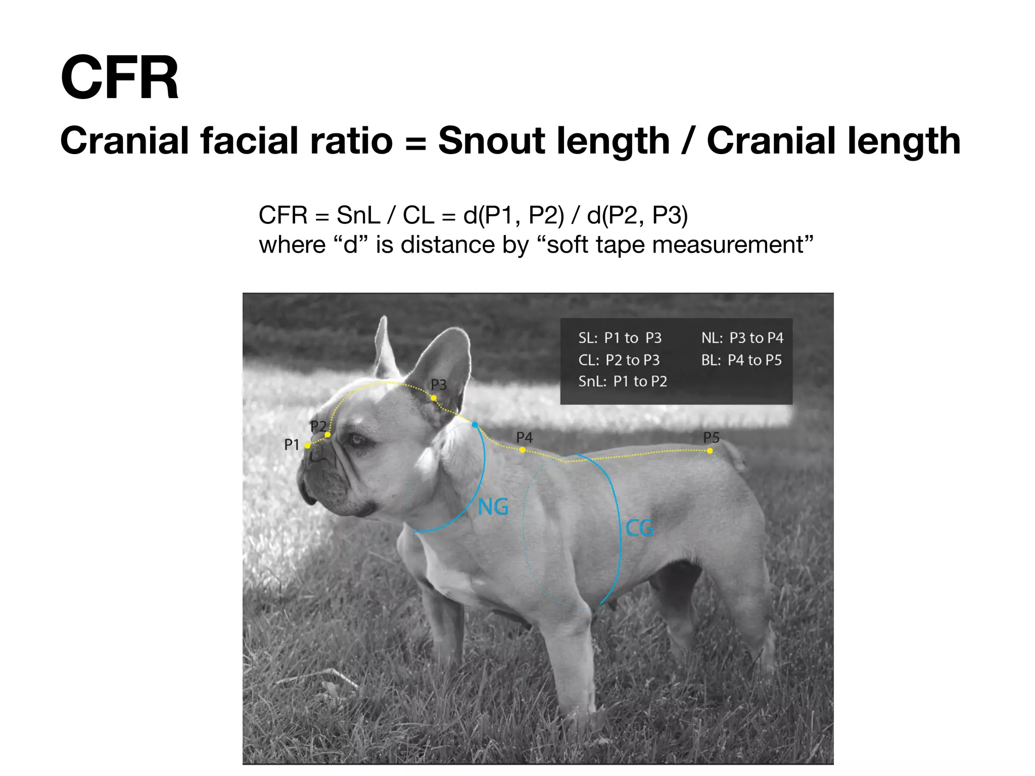 Breed, BOAS, CFR.pdf