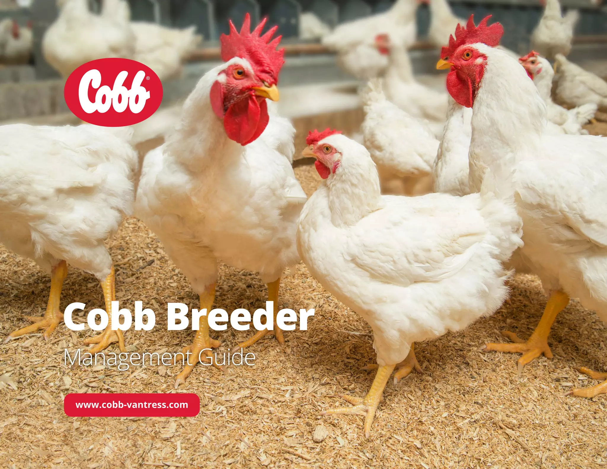 Breeder Guide 2021_digital.pdf