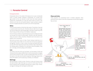 Breeder Guide 2021_digital.pdf