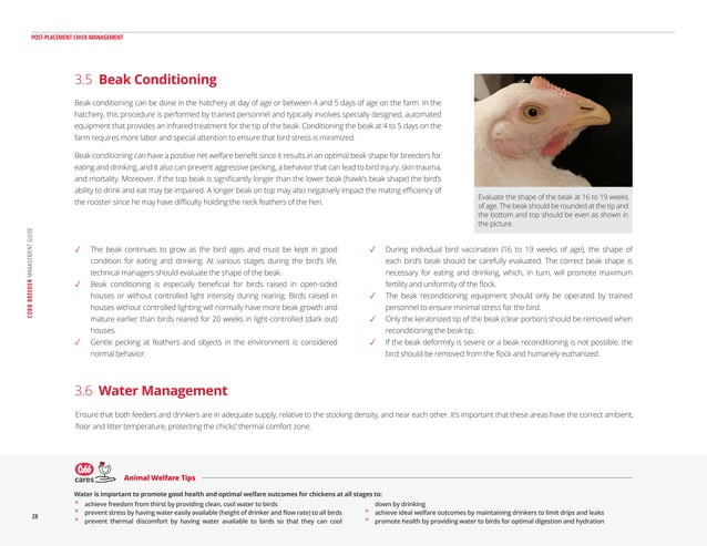 Breeder Guide 2021_digital.pdf