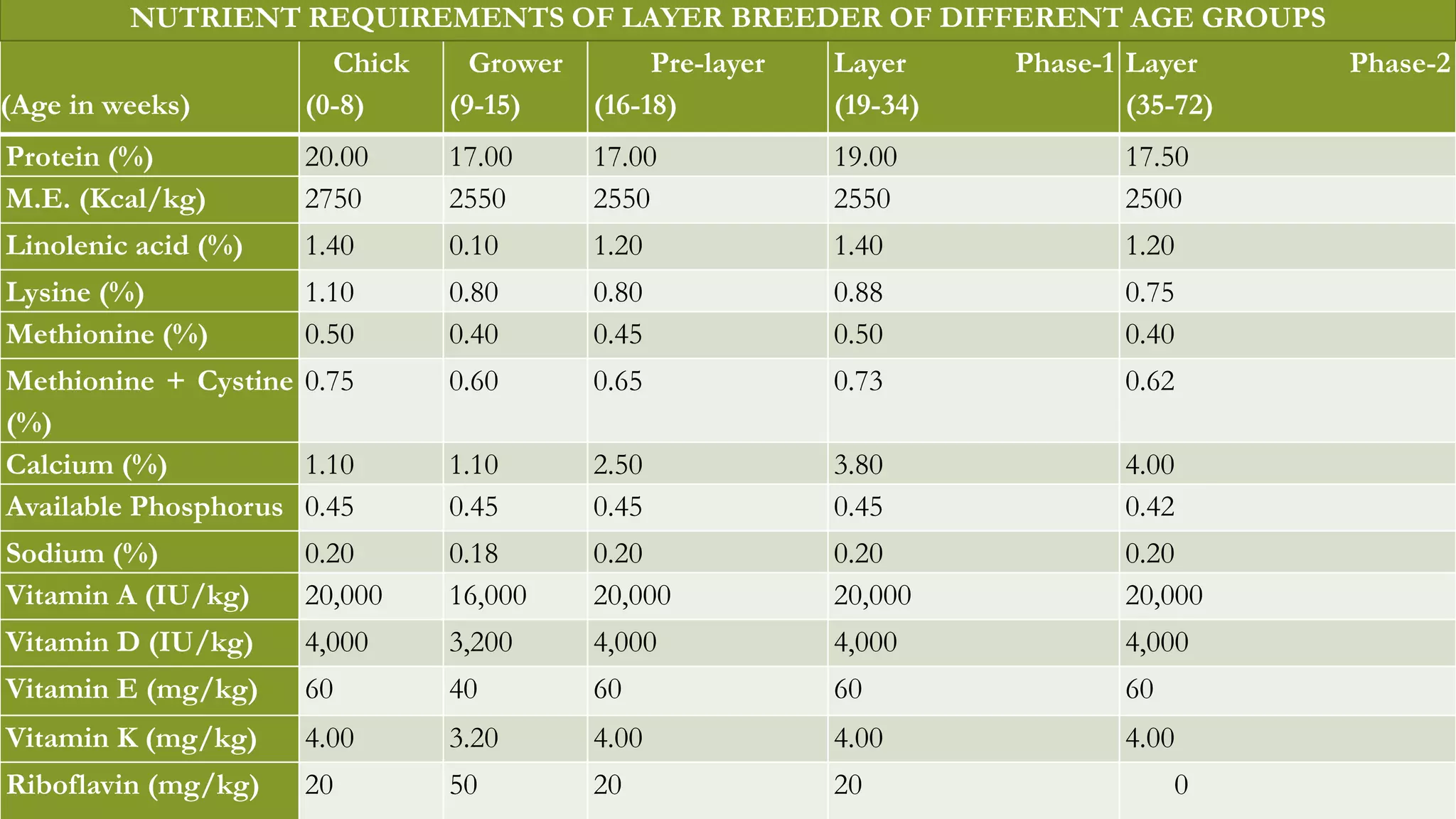 Breeder management in poultry | PPTX