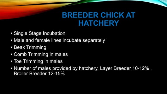 Breeder production | PPSX | Birds | Pets