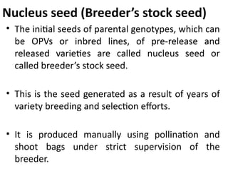 Breeder seed production at bako national maize research center.pptx