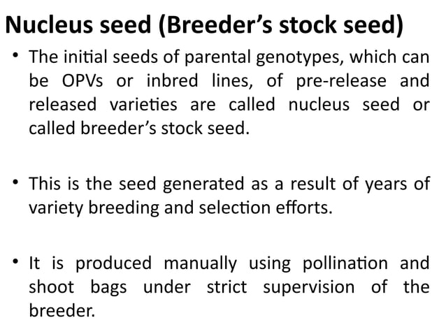 Breeder seed production at bako national maize research center.pptx