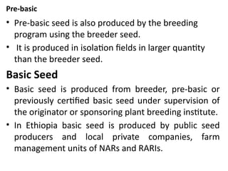 Breeder seed production at bako national maize research center.pptx