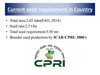 breeder seed production in potato.pptx