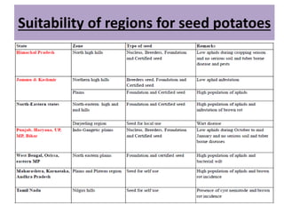 breeder seed production in potato.pptx
