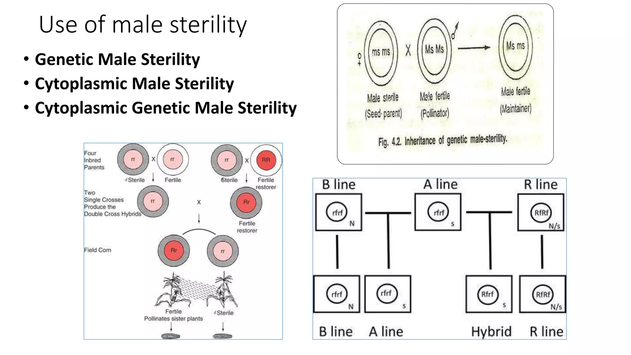 Selfing and crossing techniques in crop plants and Breeders Kit | PPTX