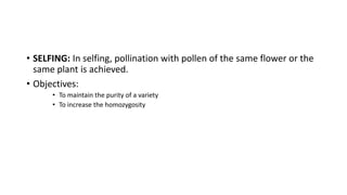 Selfing and crossing techniques in crop plants and Breeders Kit | PPTX